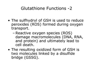 pentose shunt phosphate lecture.ppt
