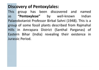 Pentoxylon | PDF