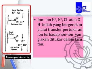 Penukar_Ion.ppt