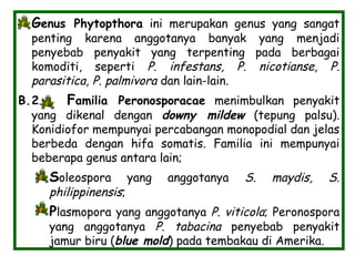 Gejala dan tanda serangan PENYAKIT pada tanaman | PPT
