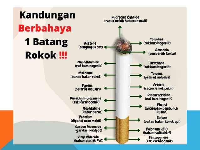 Penyakit - penyakit pada sistem pernapasan oleh rokok.ppt