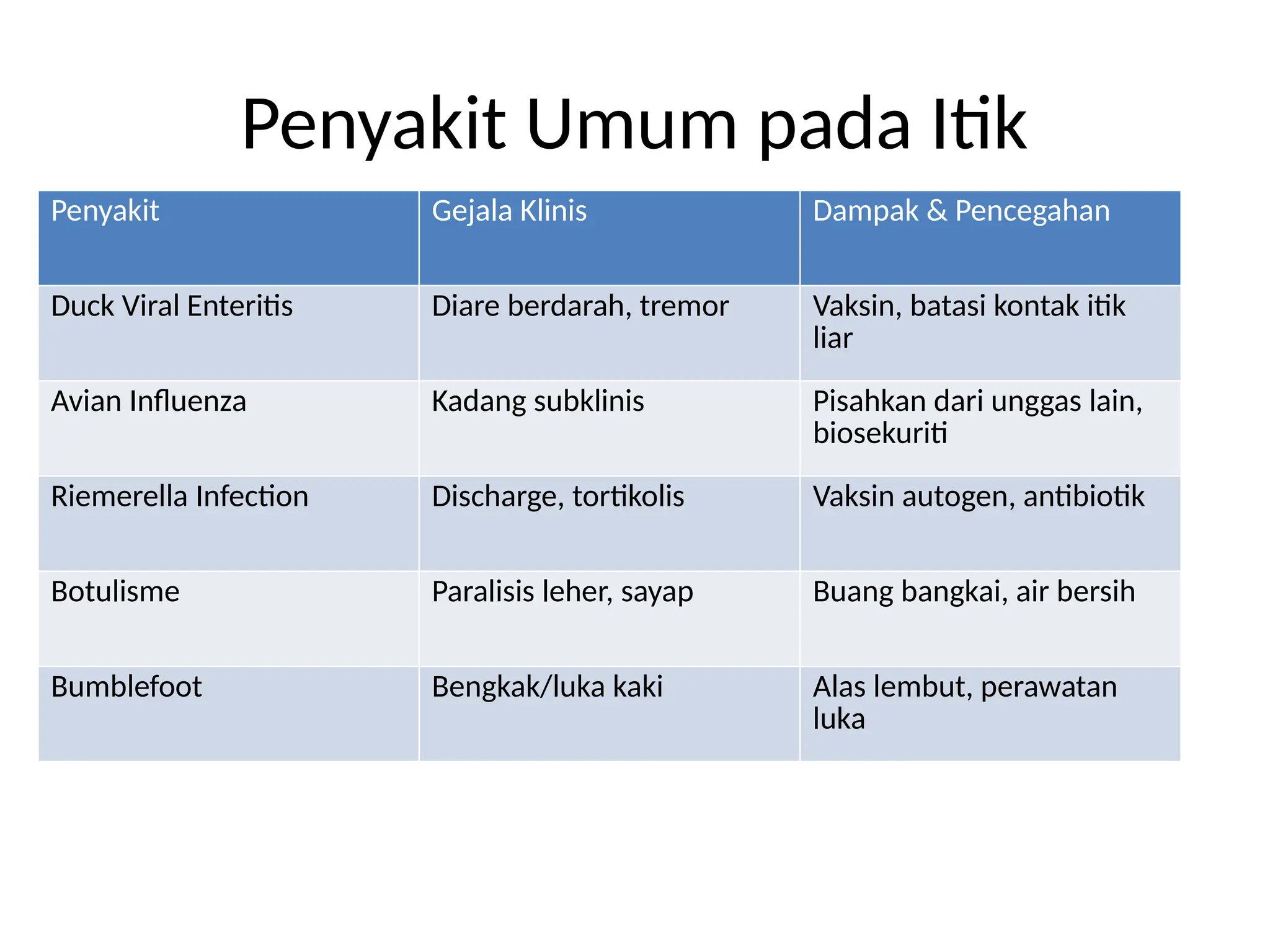 penyakit_ayam_itik.pptxsfdsafsafsafasfsafa | PPTX