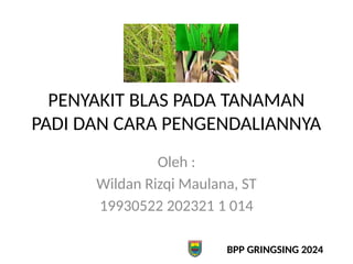 PENYAKIT BLAS PADA TANAMAN PADI DAN CARA PENGENDALIANNYA.pptx