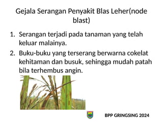 PENYAKIT BLAS PADA TANAMAN PADI DAN CARA PENGENDALIANNYA.pptx