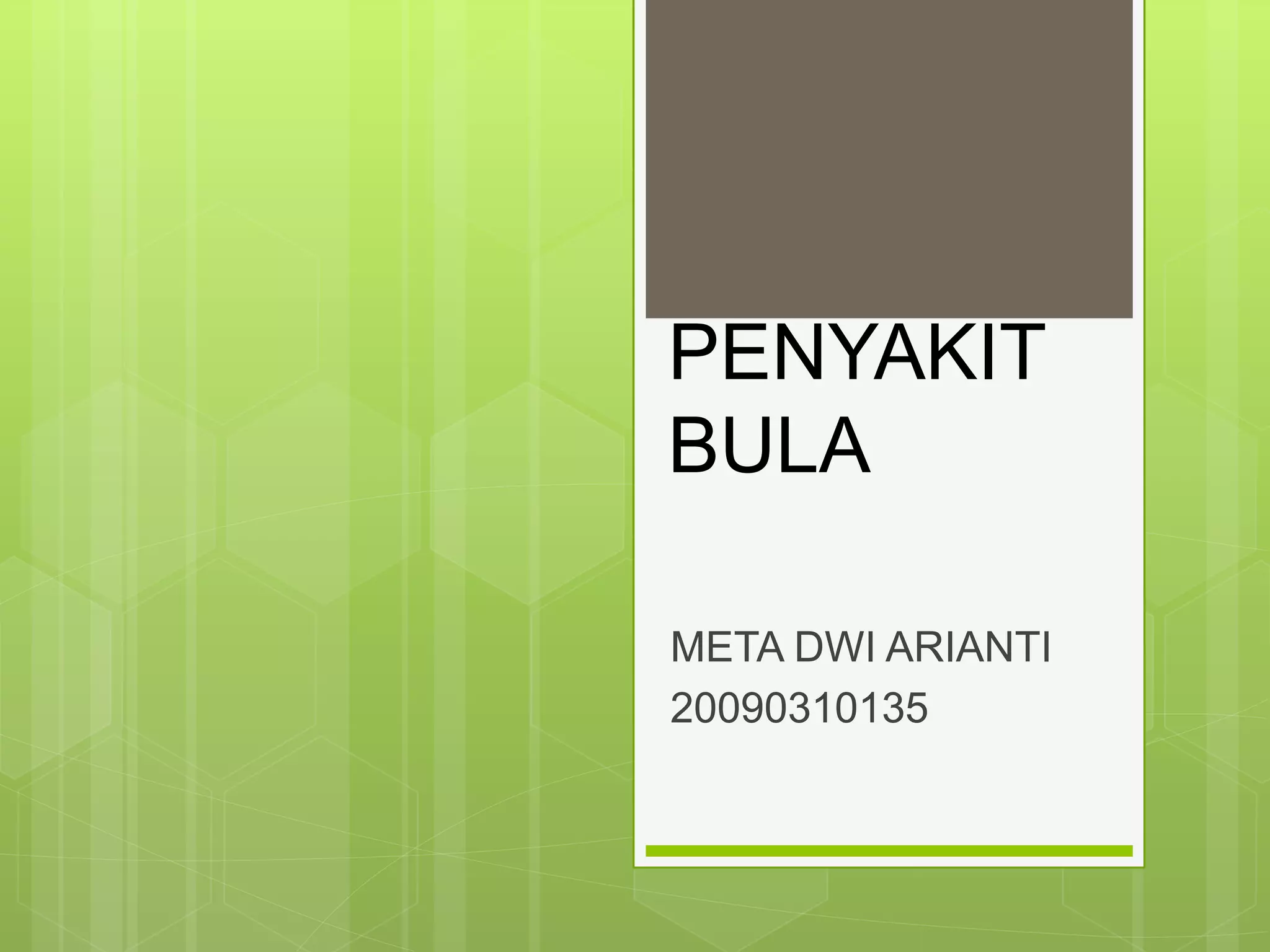 Penyakit Bula | PPT