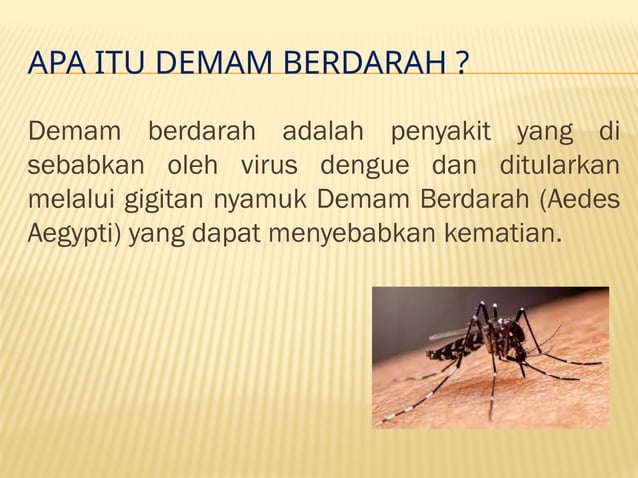 PENYAKIT DEMAM BERDARAH DENGUE (dbd).pptx