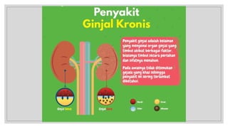 Penjelasan Penyakit gagal ginjal kronik.pptx