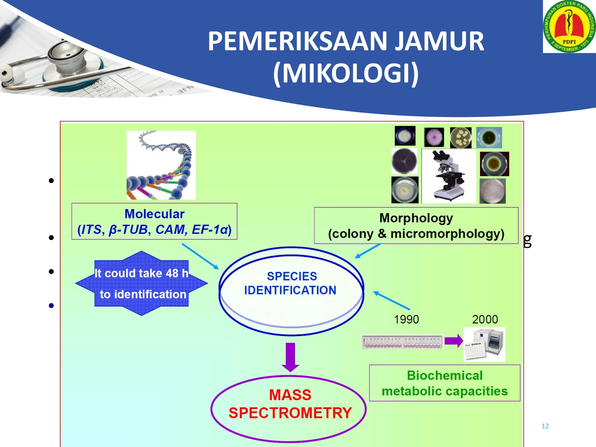 Penyakit Jamur Paru- release.pdf