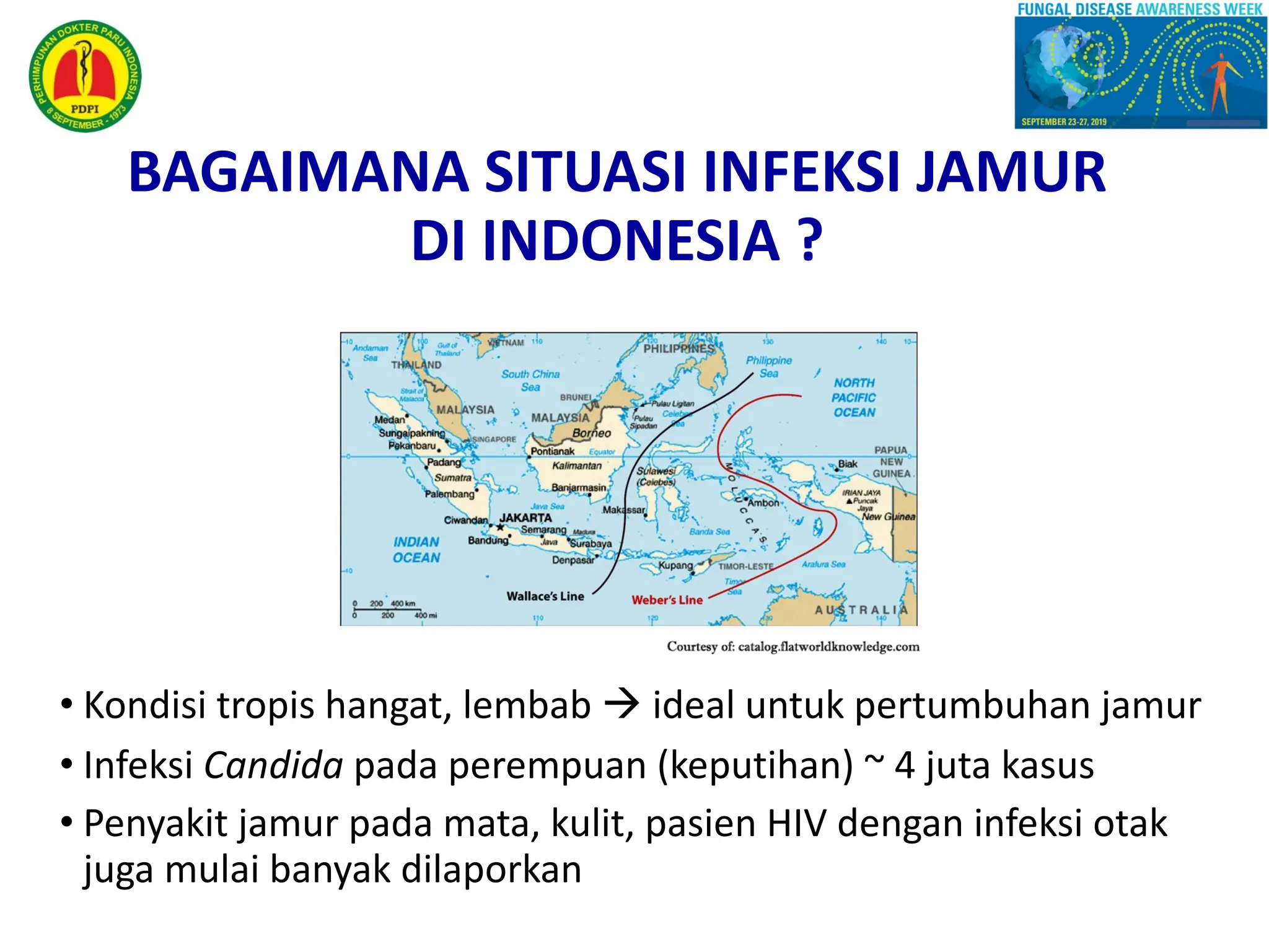 Penyakit Jamur Paru- release.pdf