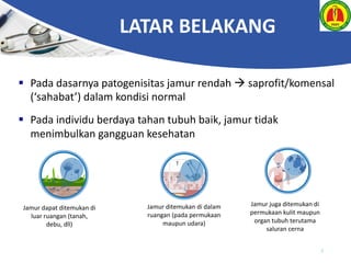 Penyakit Jamur Paru- release.pdf