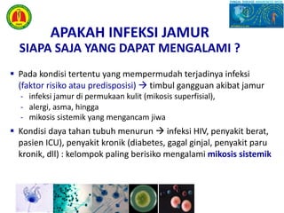 Penyakit Jamur Paru- release.pdf