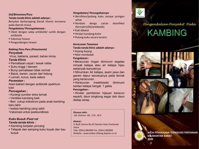Penyakit Kambing | PDF