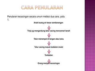 Penyakit kecacingan | PPT