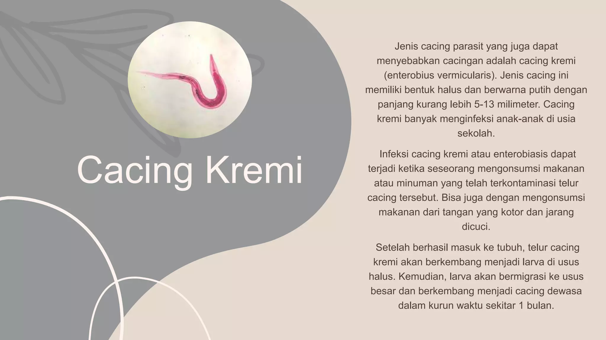 PENYAKIT KECACINGAN (klp.7).pptx