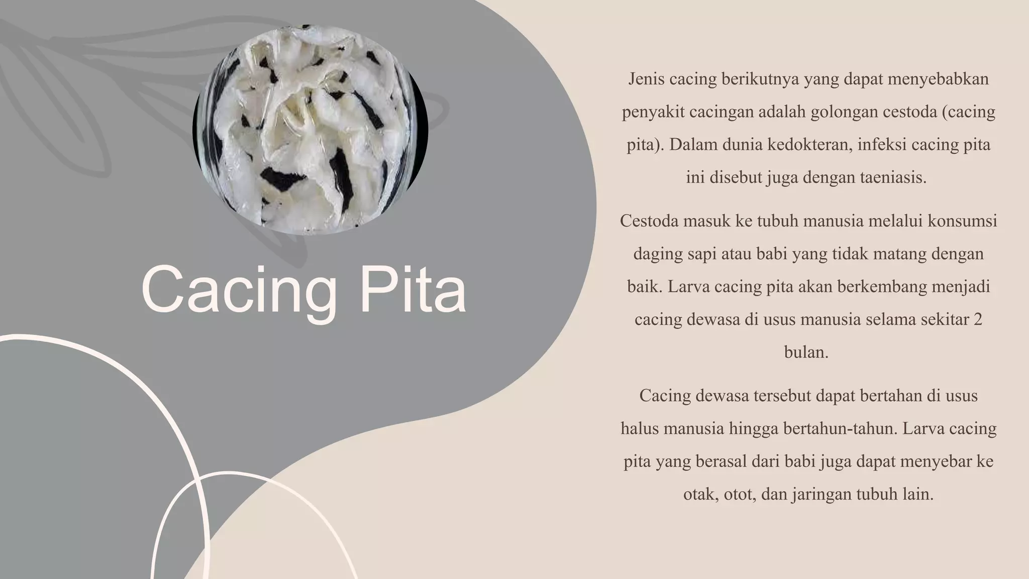 PENYAKIT KECACINGAN (klp.7).pptx