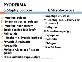 PENYAKIT KULITA AKIBAT BAKTERI.pdf