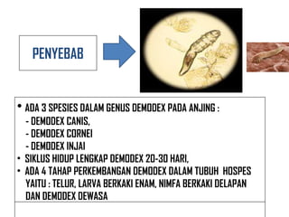 Penyakit pada Kulit(Struktur&fungsi)pptx | PPTX