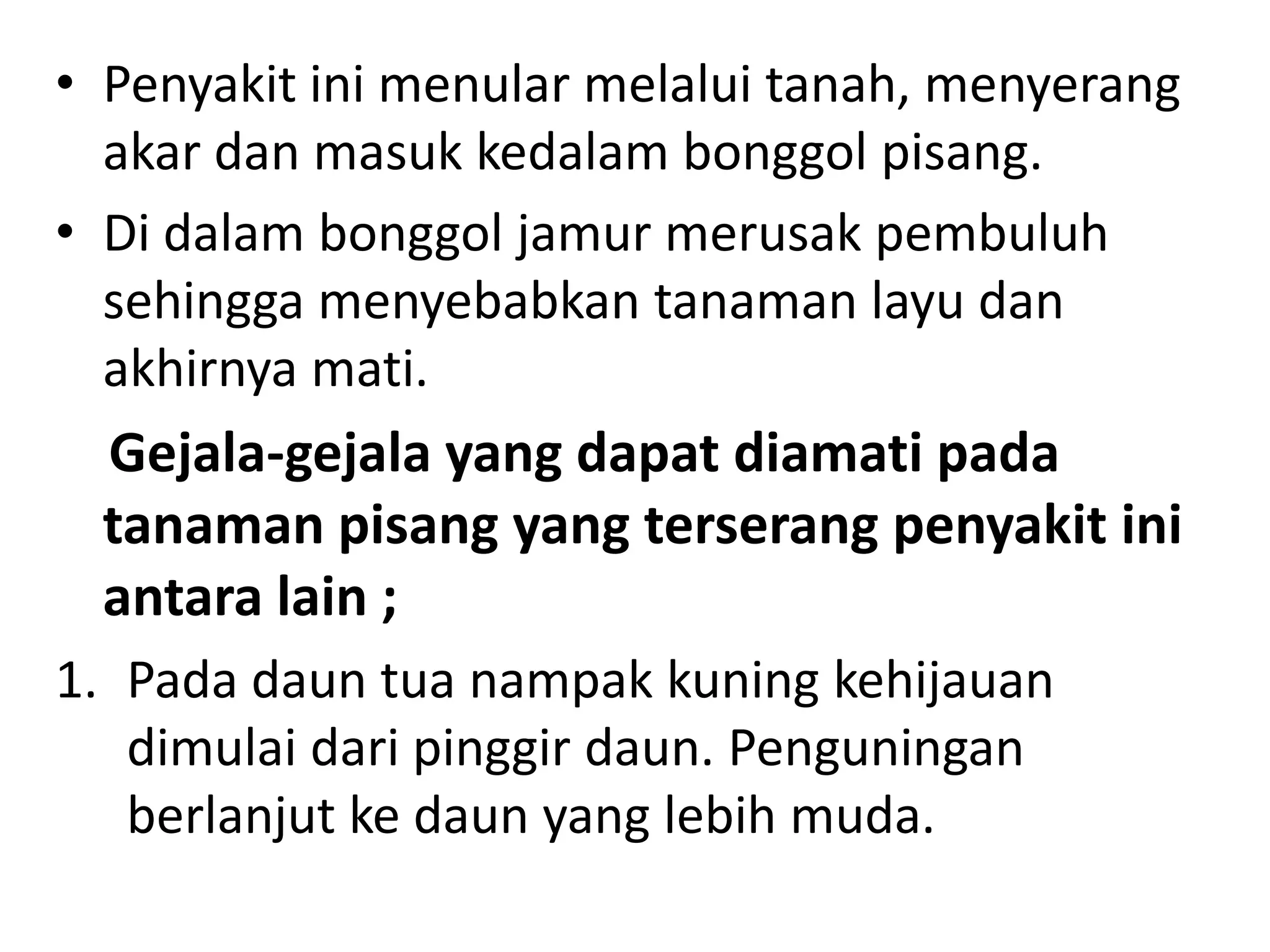 Penyakit layu fusarium pisang | PPTX
