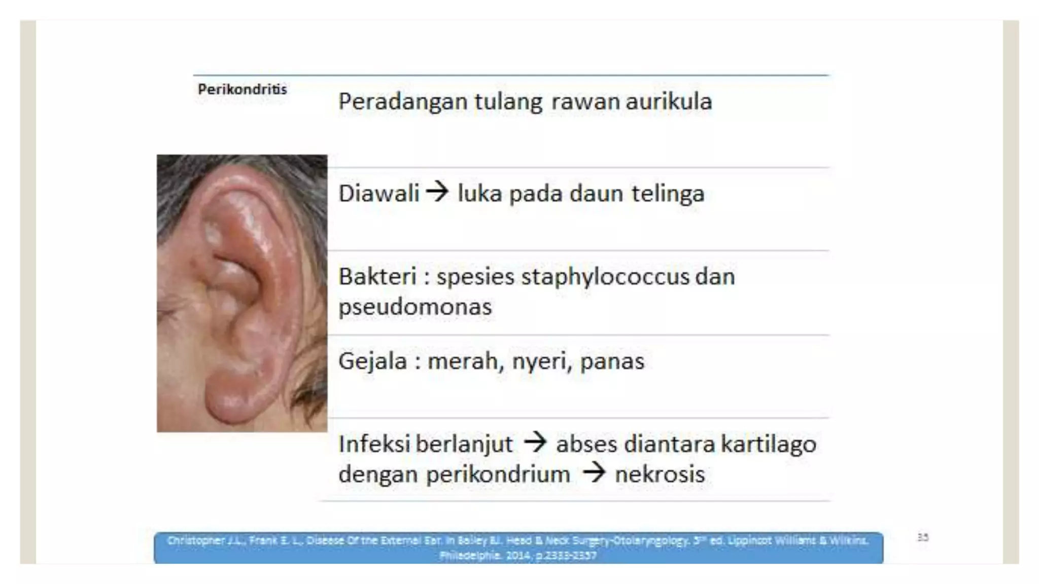 PENYAKIT LIANG TELINGA & INFLAMASI DAUN TELINGA.pptx