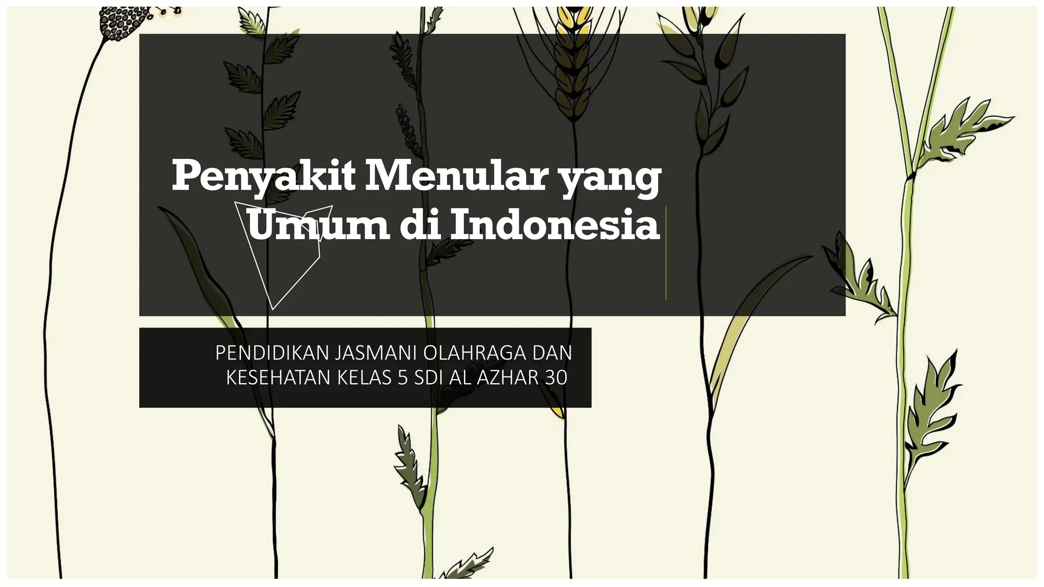 Penyakit Menular yang Umum di Indonesia PJOK.pptx