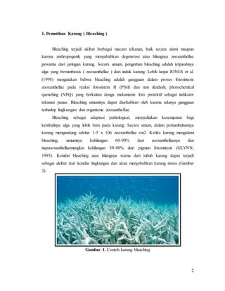 Penyakit pada Karang | PDF