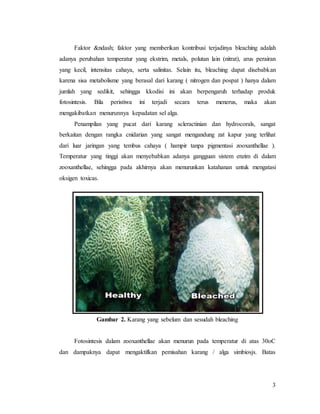 Penyakit pada Karang | PDF