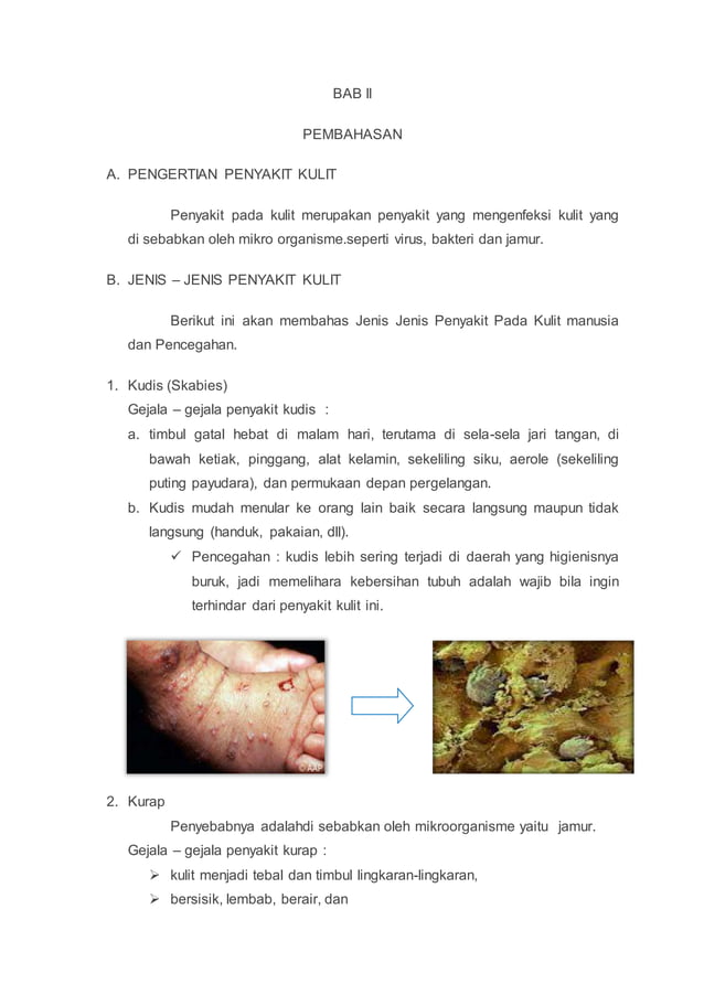 kelainan dan Penyakit pada kulit | DOCX