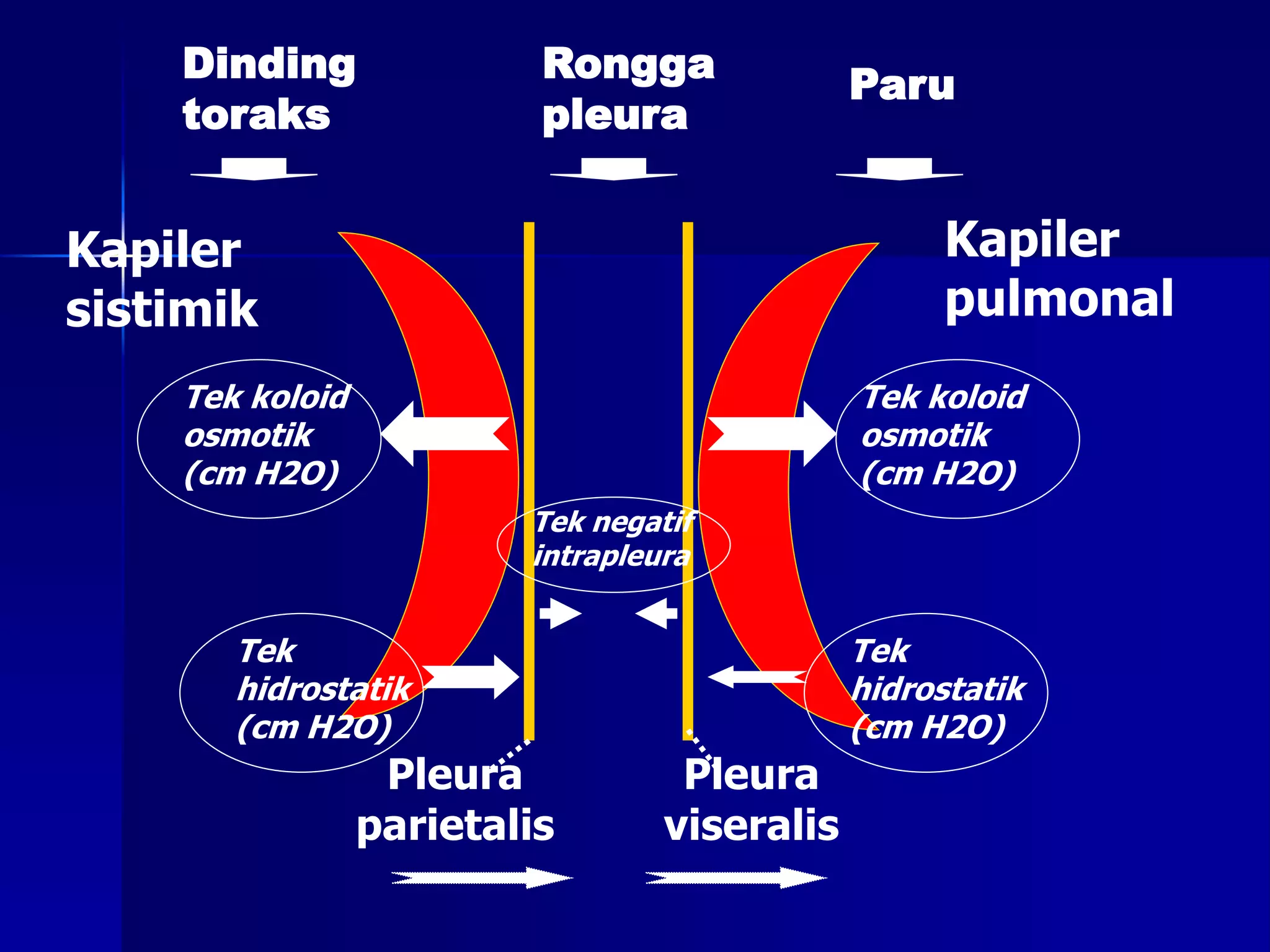 Penyakit pada selaput paru paru | PPTX