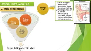 PENYAKIT PADA SISTEM INDRA.pptx