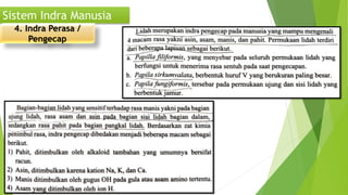 PENYAKIT PADA SISTEM INDRA.pptx