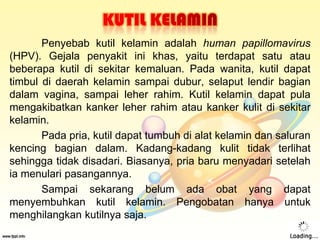 Penyakit Pada Sistem Reproduksi | PPTX