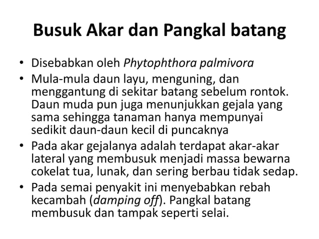 Penyakit pada Tanaman Pepaya dan Jeruk Nipis | PPTX