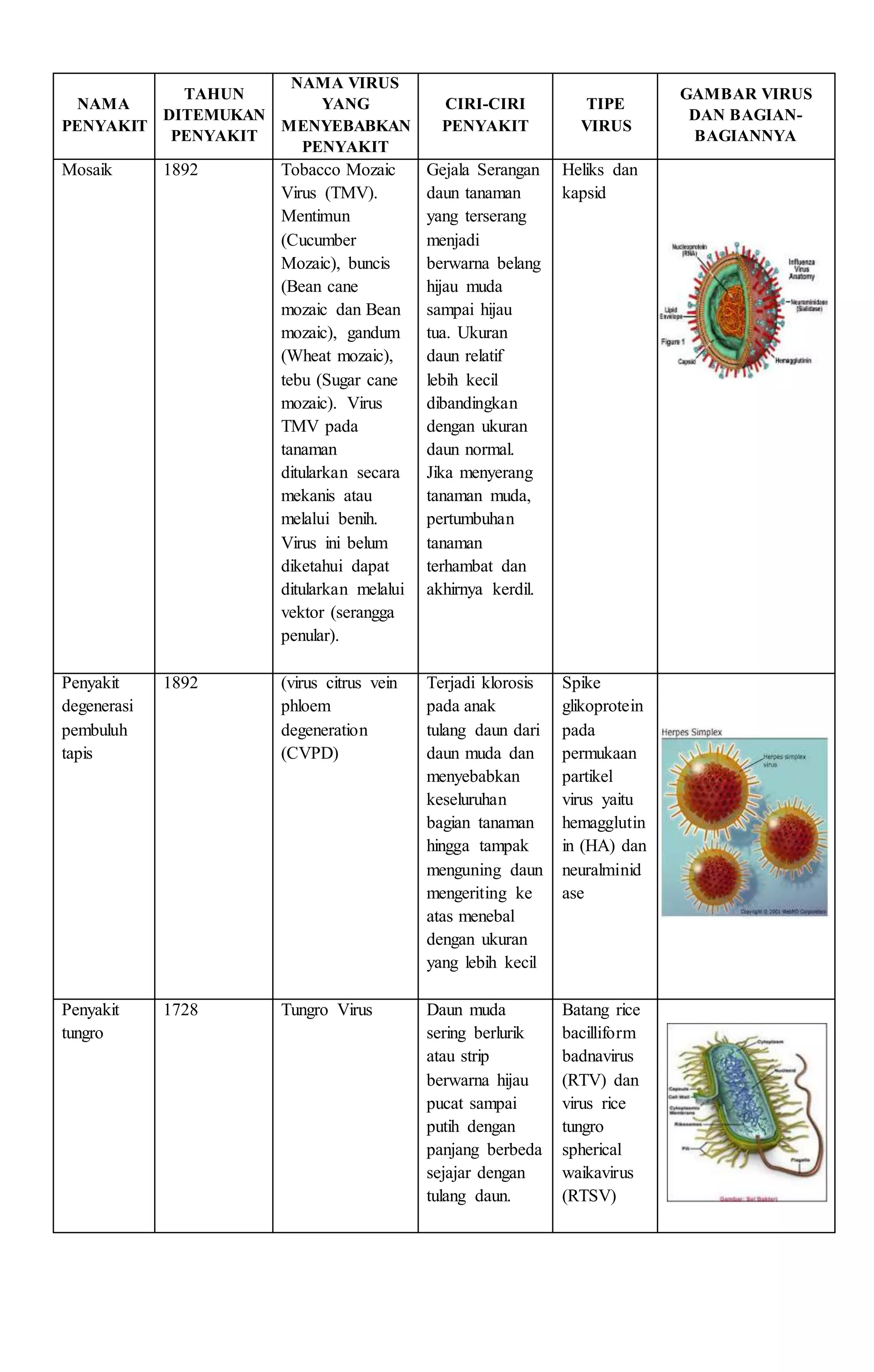 Penyakit pada tumbuhan yang disebabkan oleh virus | PDF