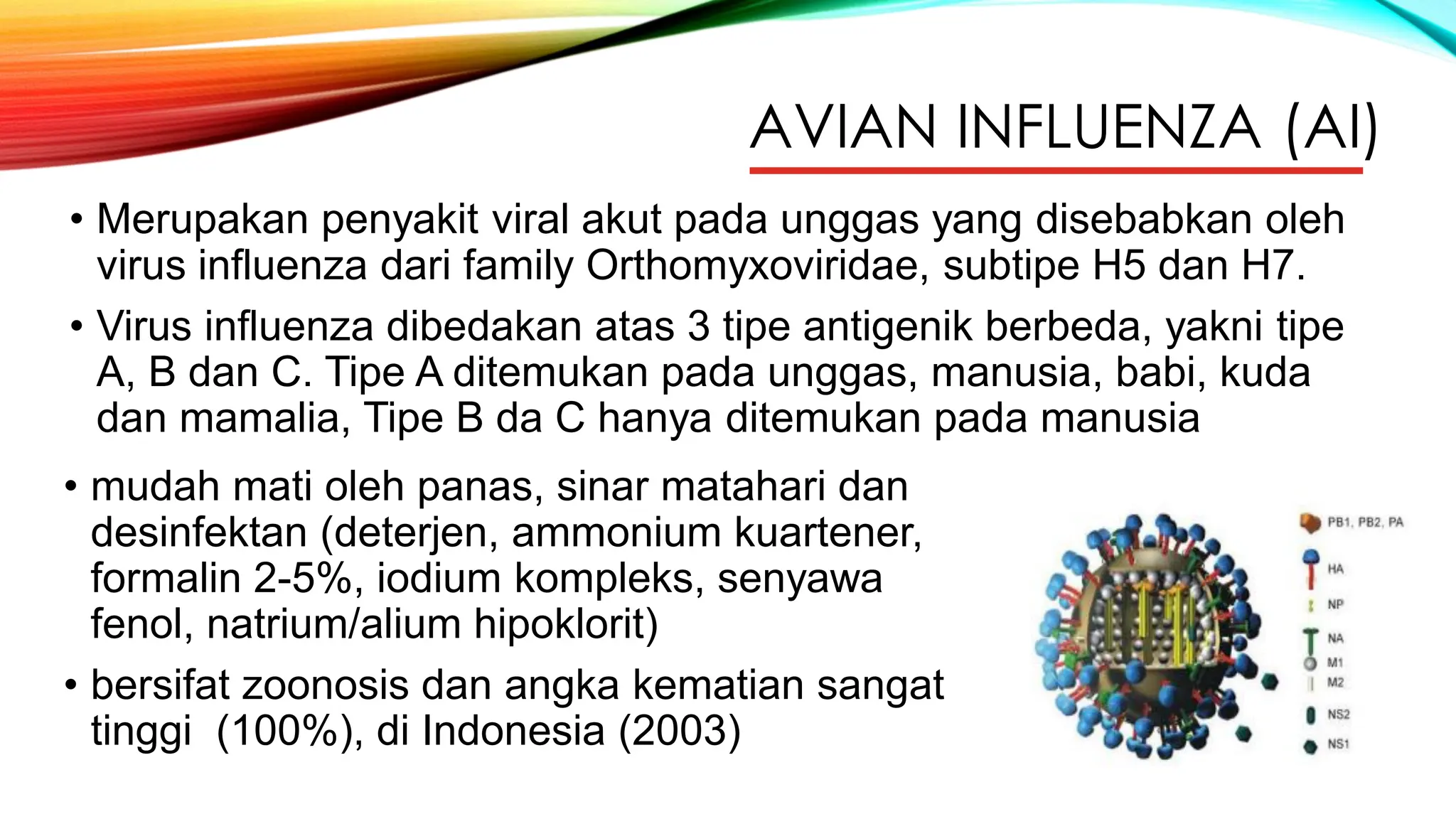 v,jhhghv,jhghfmghfm32Penyakit gmhgfmPada Unggas (Ayam).pdf