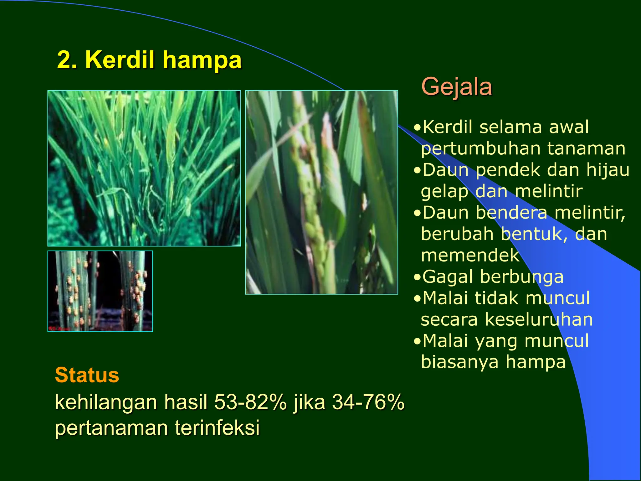 Penyakit pada tanaman padi sawah serta pengendaliannya | PPT