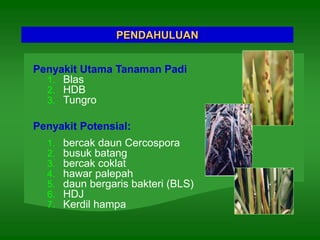 Penyakit pada tanaman padi sawah serta pengendaliannya | PPT