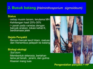 Penyakit pada tanaman padi sawah serta pengendaliannya | PPT
