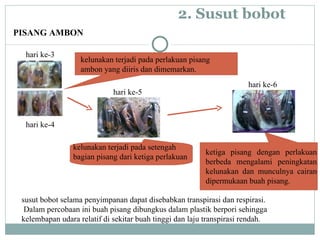 Penyakit pasca panen pisang | PPT