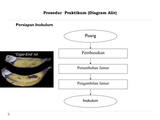 Penyakit pasca panen pisang | PPT