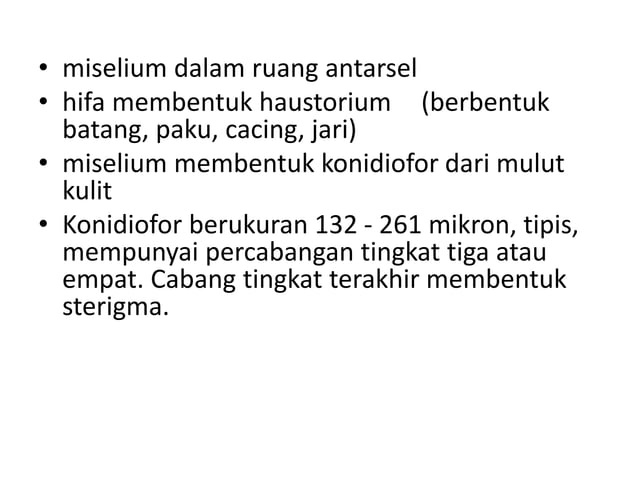 PENYAKIT PENTING TANAMAN JAGUNG (bulai dan karat).pptx