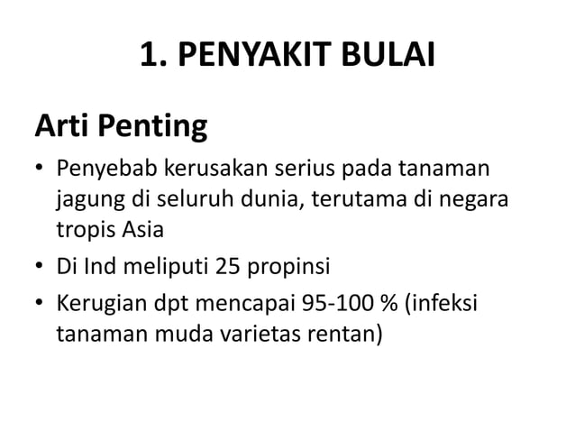 PENYAKIT PENTING TANAMAN JAGUNG (bulai dan karat).pptx