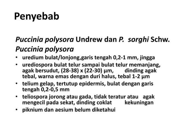 PENYAKIT PENTING TANAMAN JAGUNG (bulai dan karat).pptx