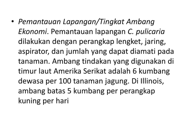 PENYAKIT PENTING TANAMAN JAGUNG (bulai dan karat).pptx