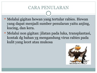 Penyakit rabies | PPT