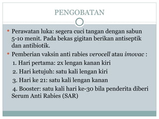 Penyakit rabies | PPT