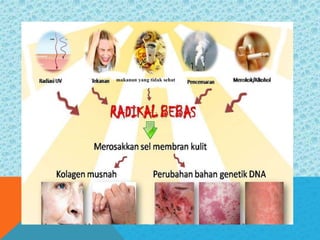 Penyakit yang disebabkan oleh radikal bebas | PPTX