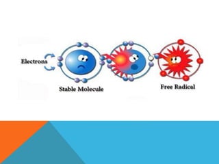 Penyakit yang disebabkan oleh radikal bebas | PPTX
