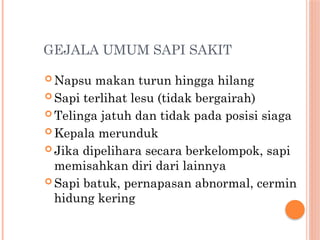 PPT KESEHATAN HEWAN PENYAKIT PADA TERNAKSAPI.pptx