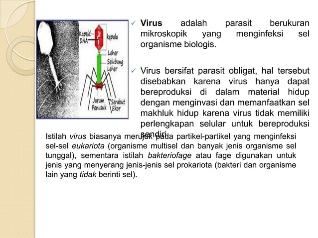 Penyakit tanaman oleh virus | PPTX