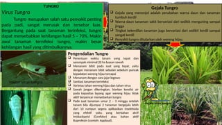 Penyakit Tanaman PADI.pptx Tanaman padi pada umumnya merupakan tanaman ...